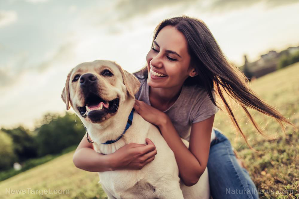 Pet Health News Pet Health News Pet Health Information Pet Health News Pet Health News Pet Health Information